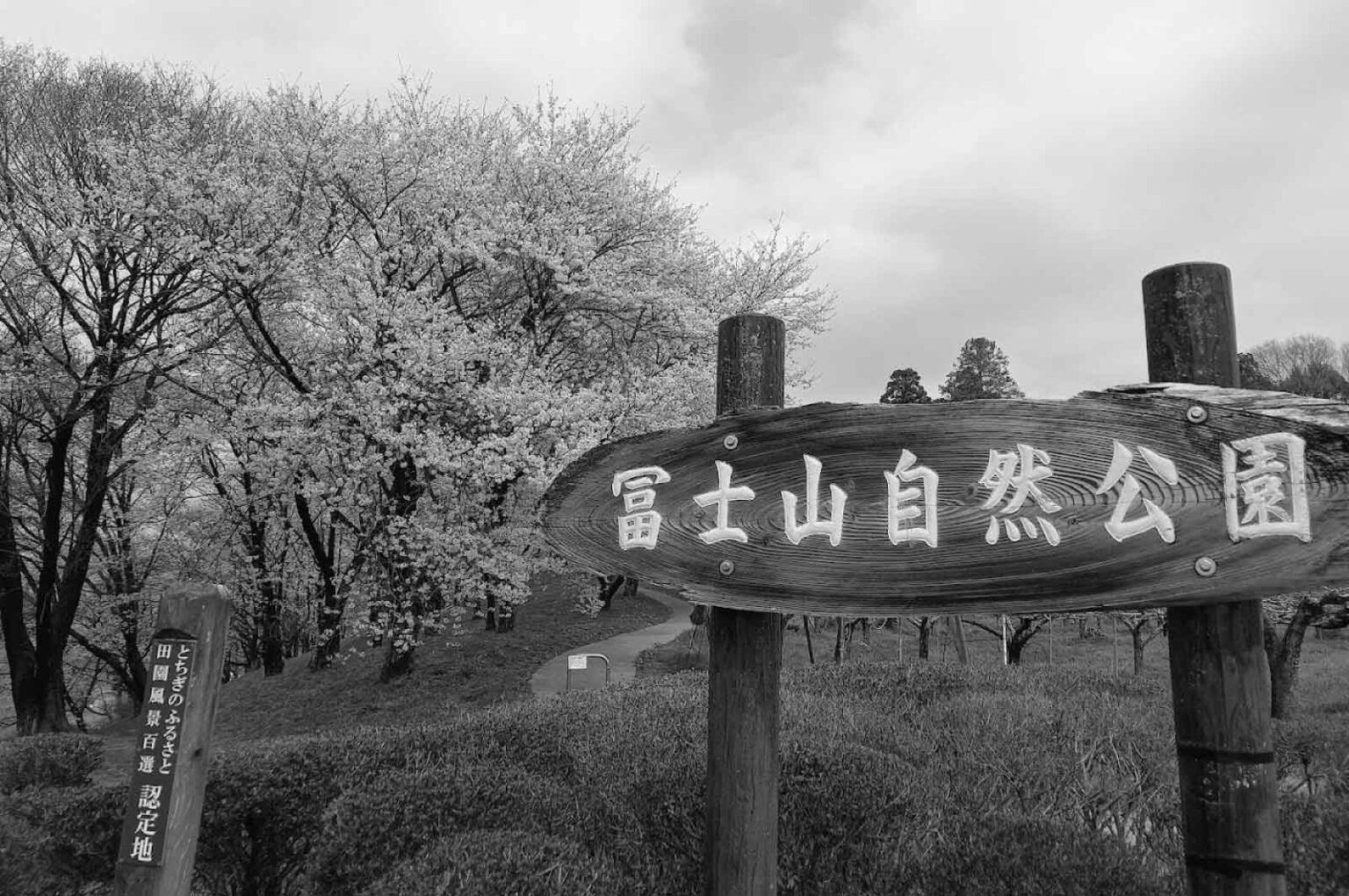 栃木女装スポット6選｜東那須野公園・モアイ書店・Maki Room・ESSENCEなど - mevy